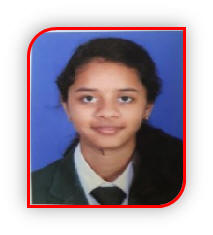 COMMERCE CLUB – DPS-Modern Indian School